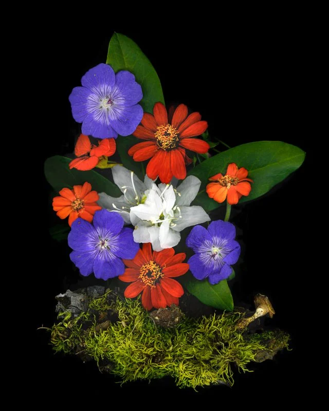 Flowers & Leaves — Scanography