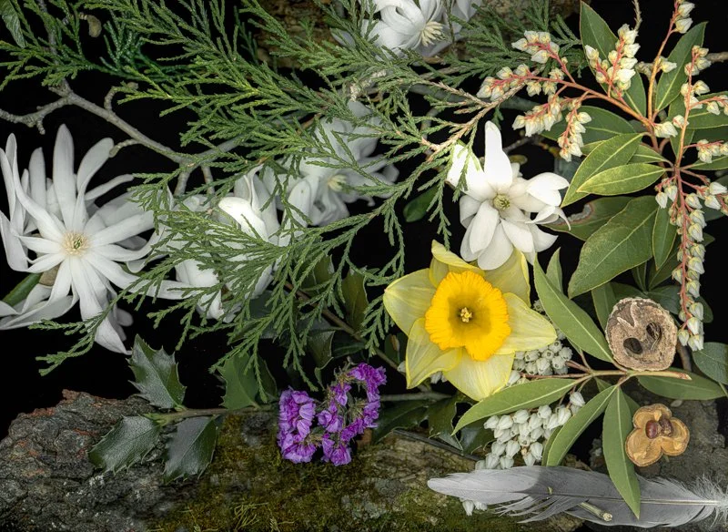 Flowers & Leaves — Scanography