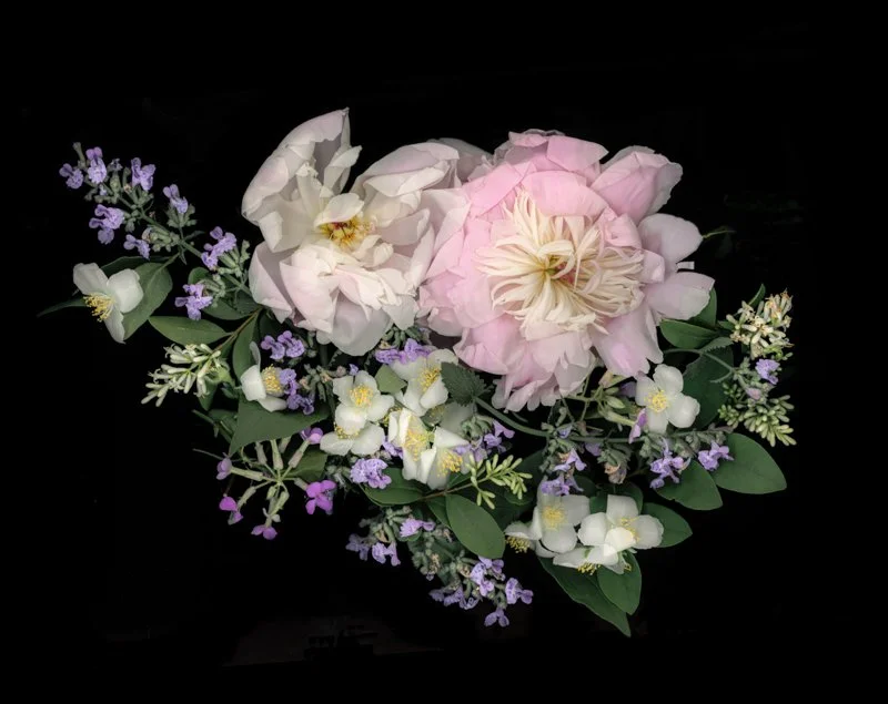 Flowers & Leaves — Scanography