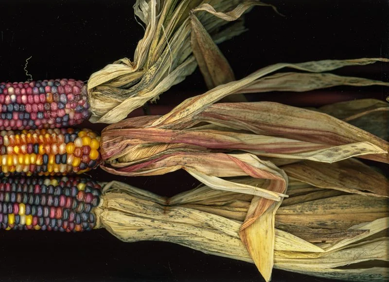 Scanned objects to create an artistic image — Scanography