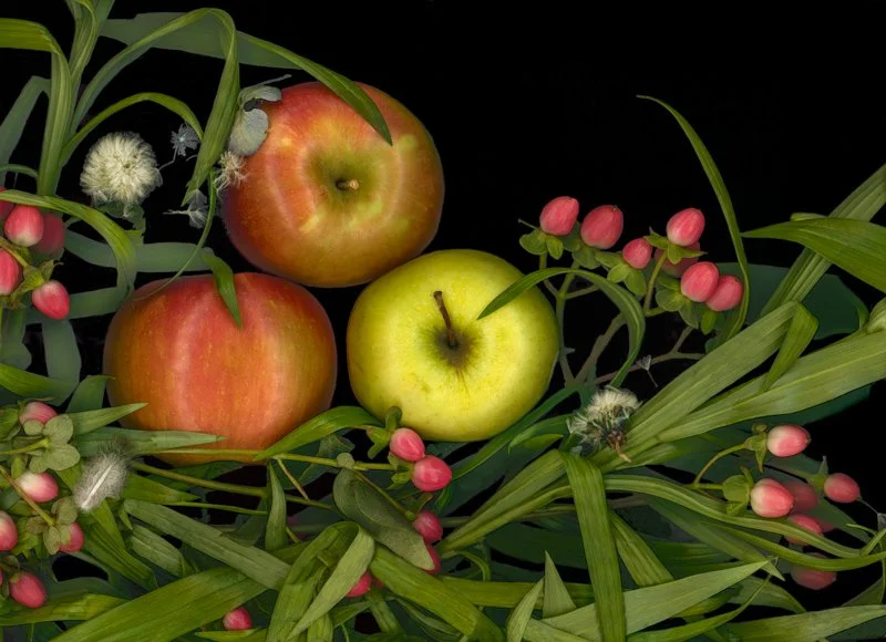 Fruit & Vagetables — Scanography