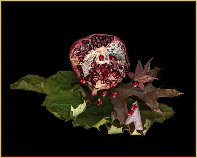 Fruit & Vagetables — Scanography