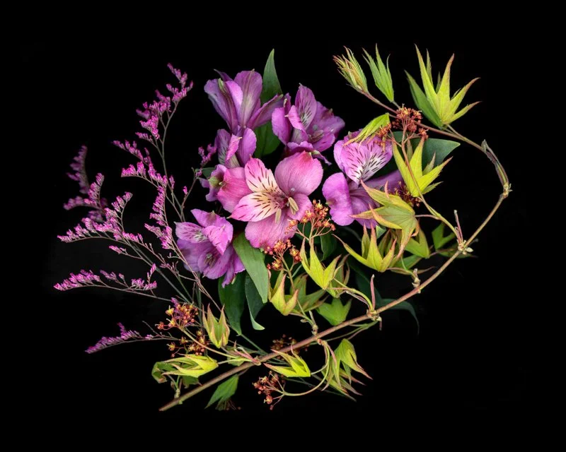 Flowers & Leaves — Scanography