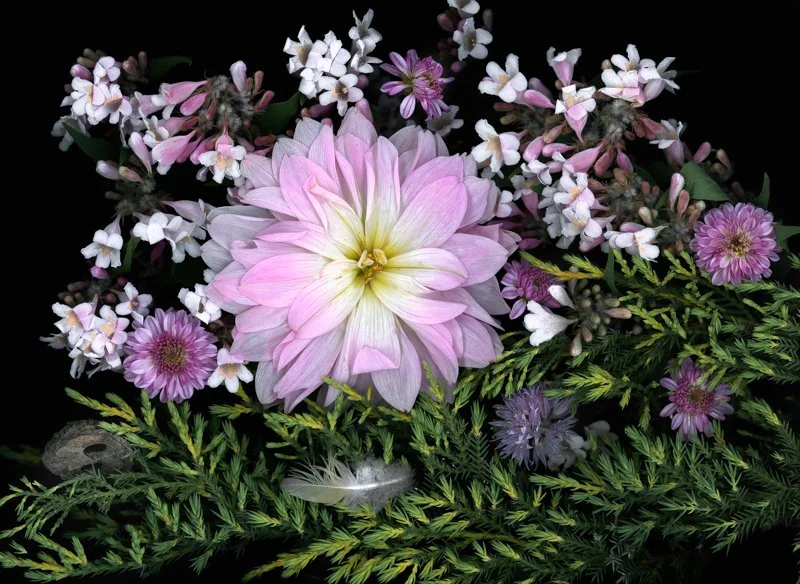 Flowers & Leaves — Scanography