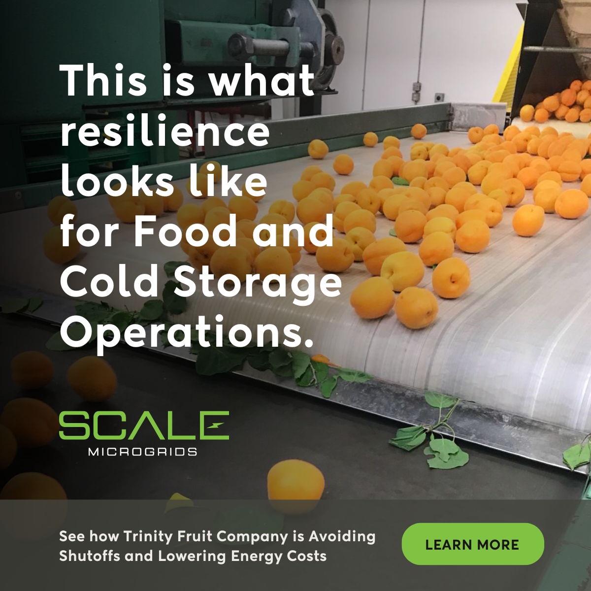 Scale Microgrids — Rare Machine | Melissa Stafford