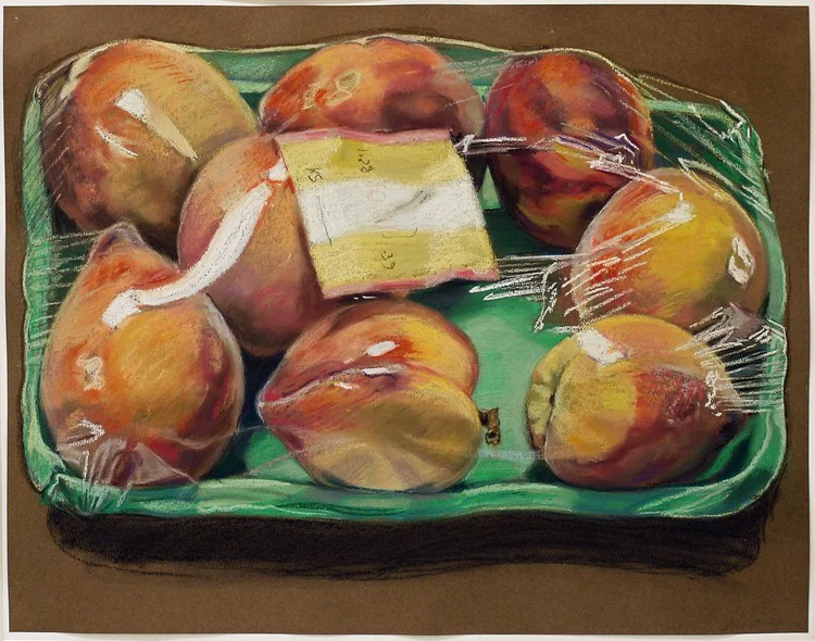 Works: Watercolor & Pastel — Janet Fish