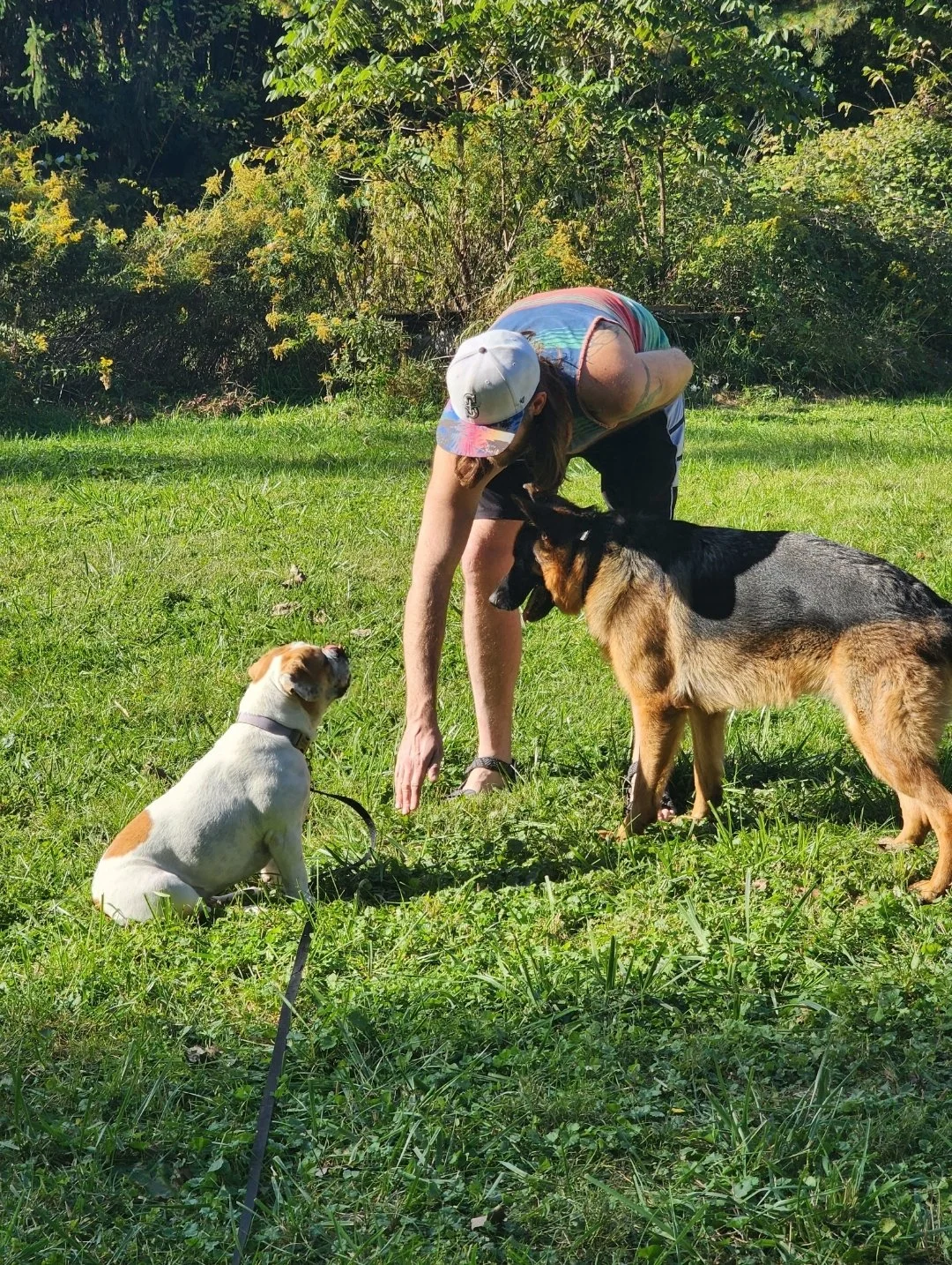 Central Ohio Dog Training - Columbus, Delaware, Westerville: We Make ...