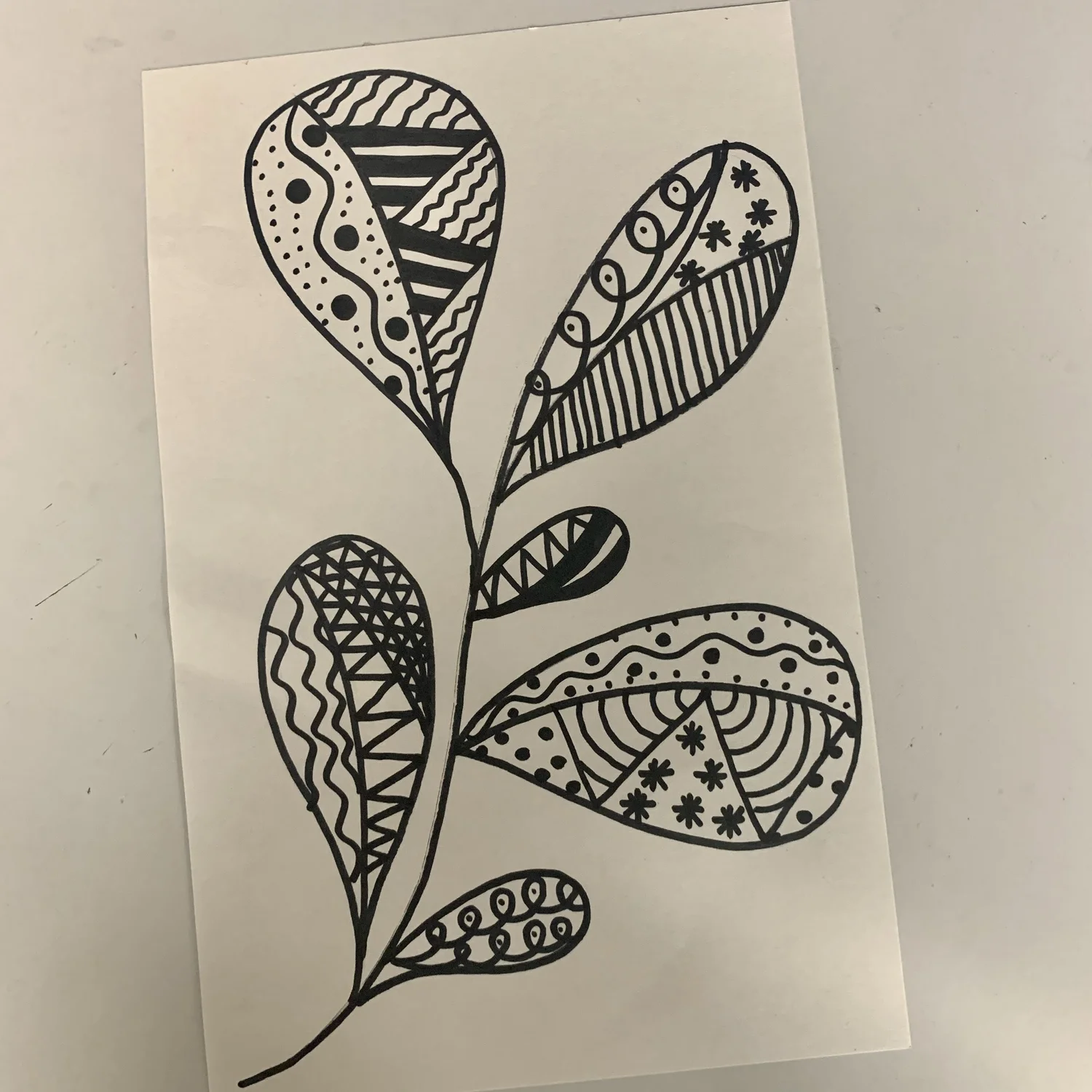 Zentangle Pattern Leaves Art Project — Mme Marissa