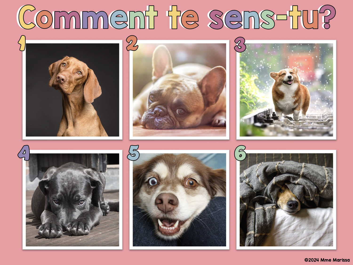 My Literacy Program in Grade 2/3 French Immersion — Mme Marissa