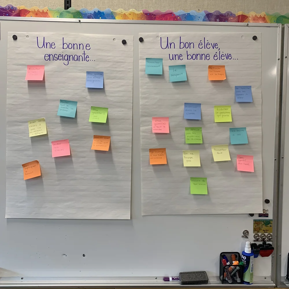 First Week of Grade 2/3 French Immersion Activities — Mme Marissa