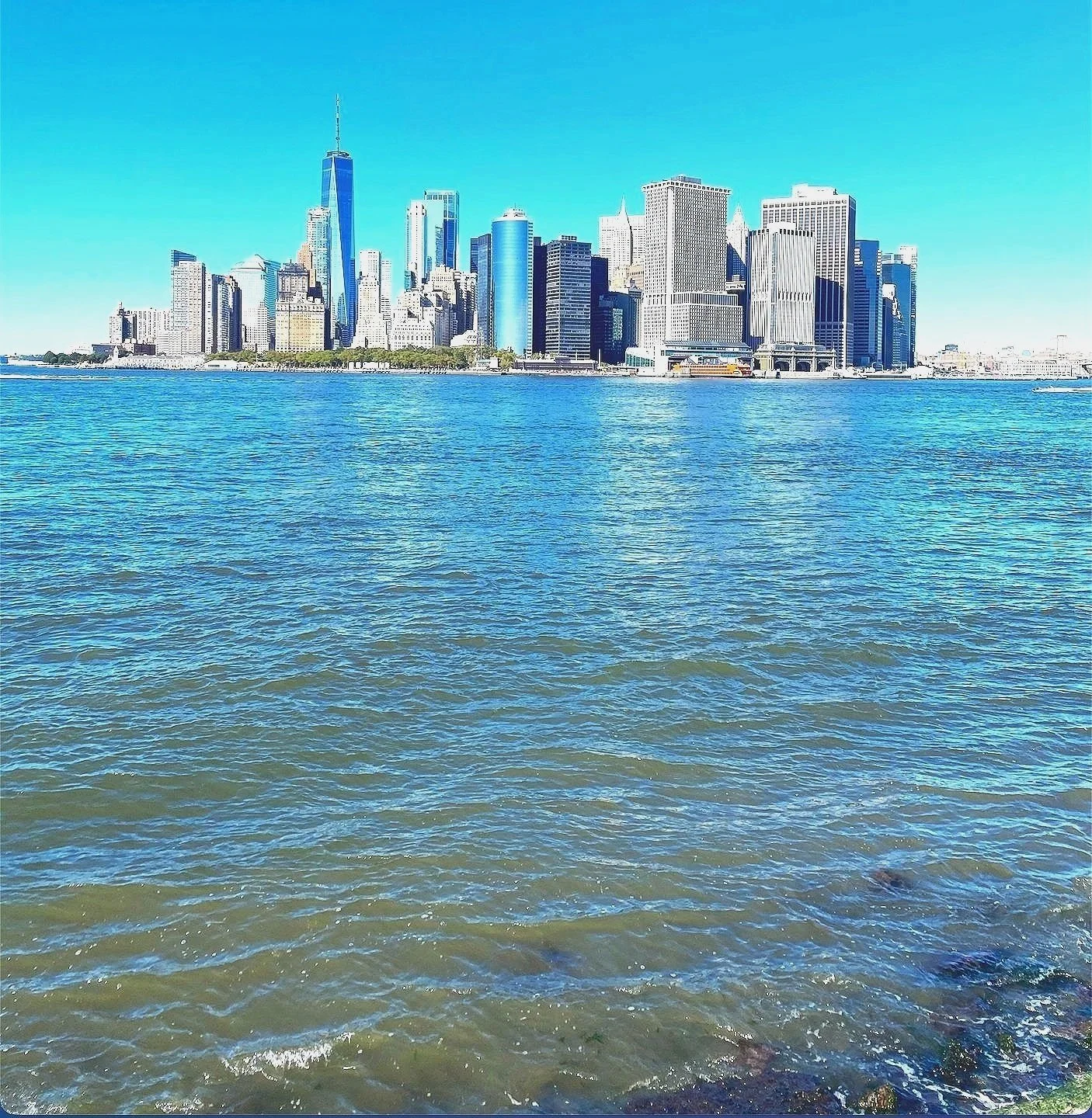 About — Dr. Tim McLean