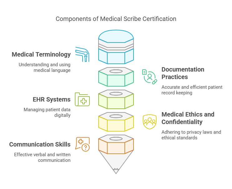 Is Free Scribe Certification Possible?