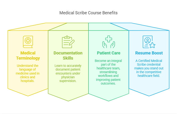Shadowing a Doctor: A Simple Guide to Getting Started
