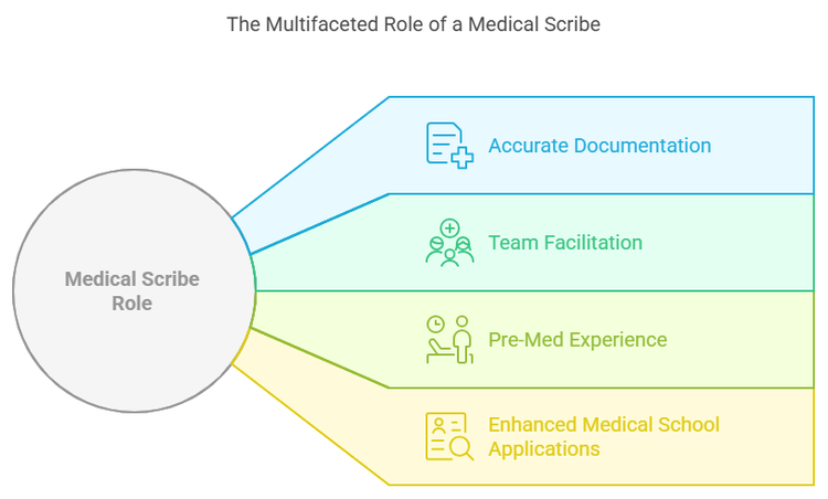 Medical Scribing: A Vital Role in Healthcare 2025