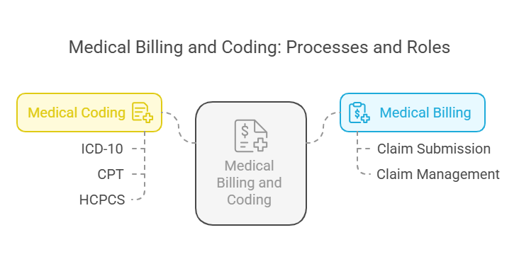 Best Online Billing & Coding Courses for Beginners