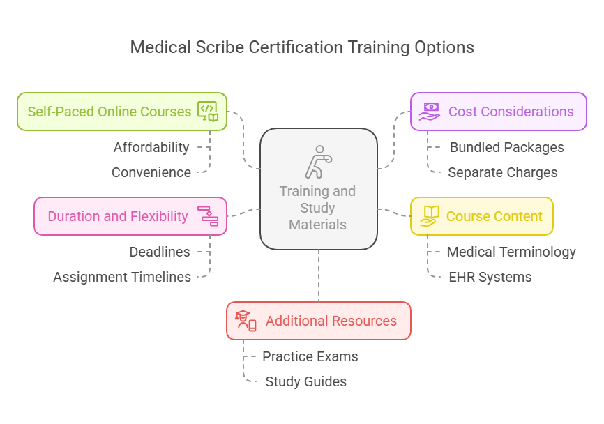How Much Does Scribe Certification Cost?