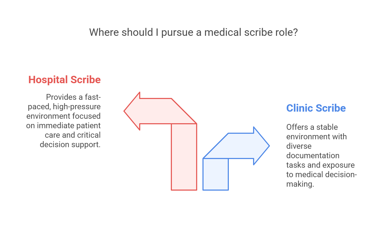 What Do Medical Scribes Do? Roles & Responsibilities