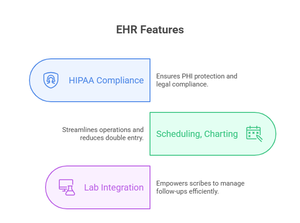 Free EMR Options 2025: 5 Great Picks for Small Clinics