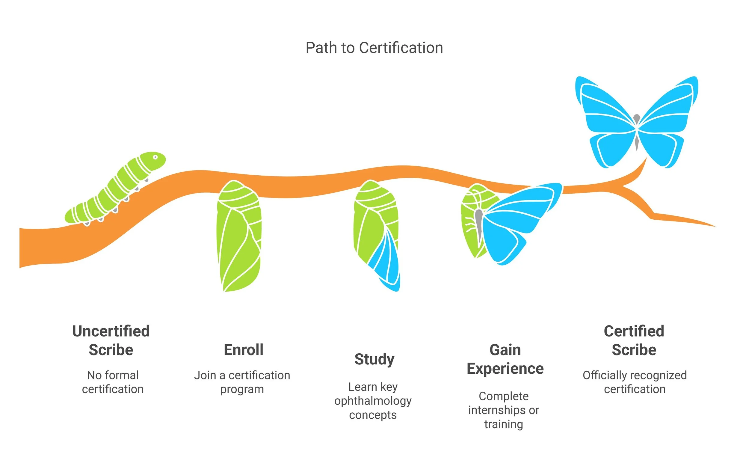 Essential Ophthalmic Scribe Study Guide for 2025