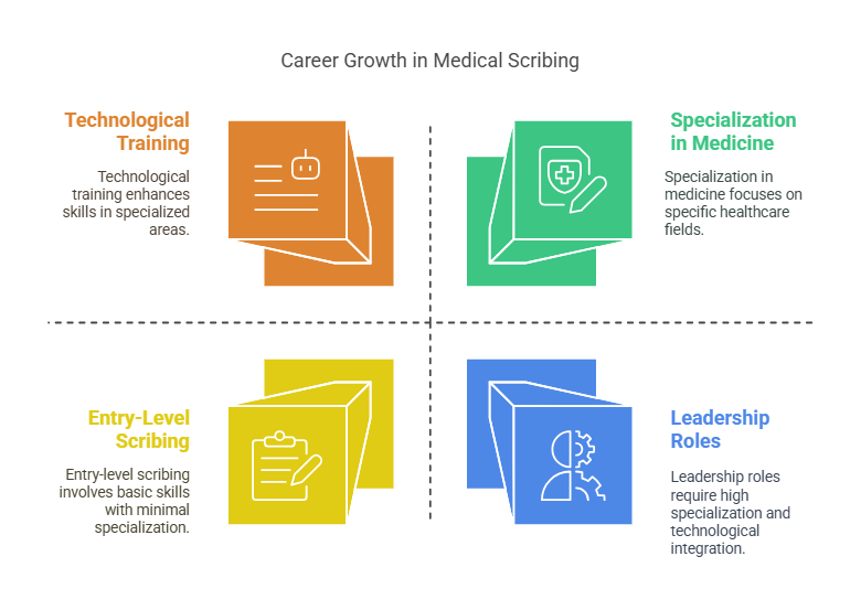 Medical Scribe Role and Responsibilities: 2024 Overview