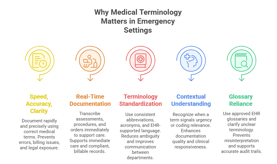 20 Key Terms Every Emergency Department Scribe Should Know