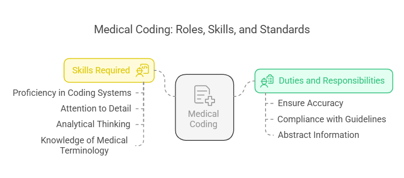 Medical Scribing vs. Medical Coding: Key Differences Explained