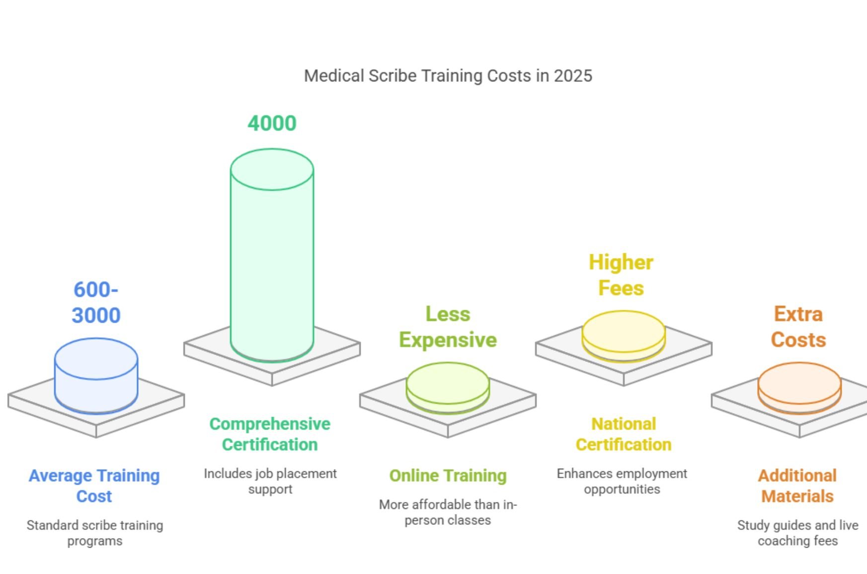 Medical Scribes & Hospital Revenue: New Data Insights