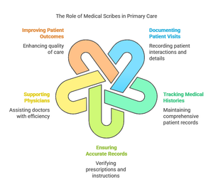 Medical Scribe Certification Guide | ACMSO
