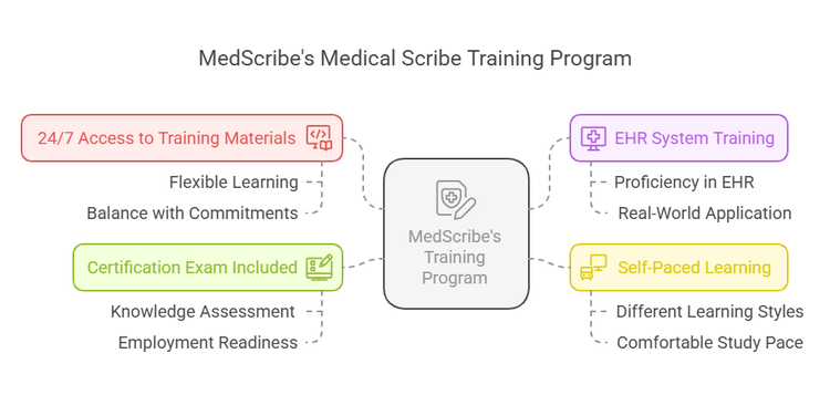 Top Online Scribe Certification Courses for 2025