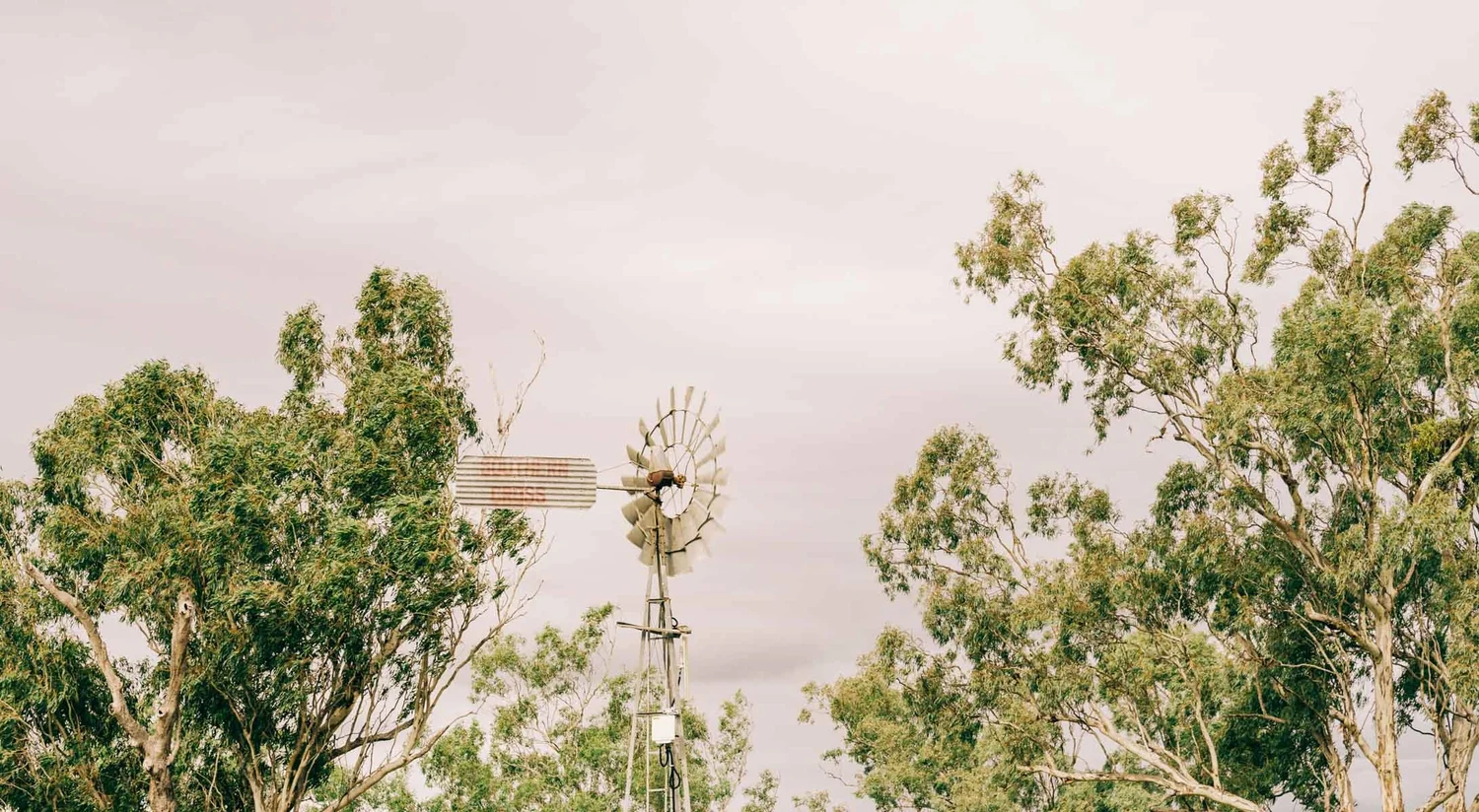 Jimbour House — Kate Bryan Photography