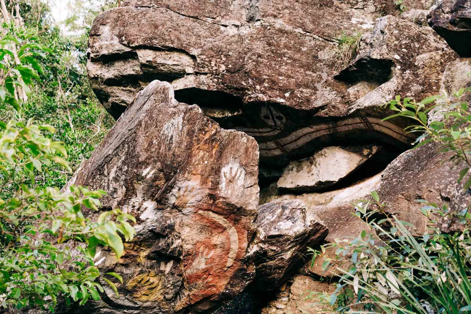 Mt Coot-tha Aboriginal Art Trail — Kate Bryan Photography