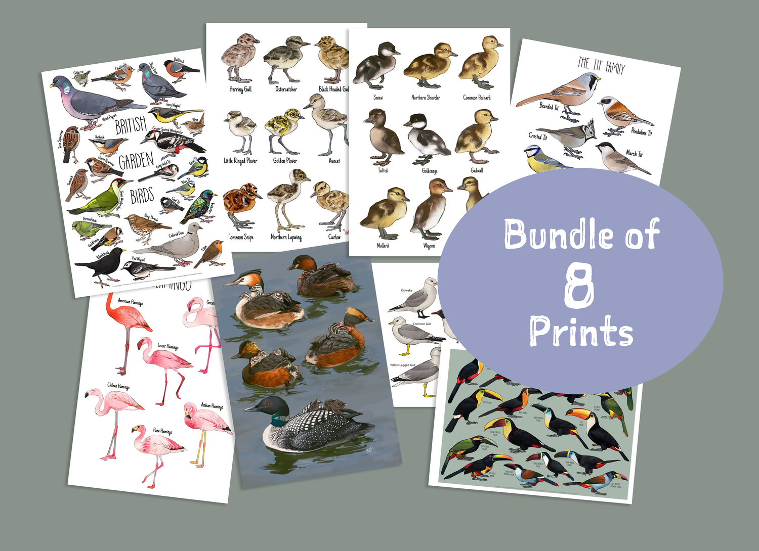 Carrion Crow Science growth chart illustration — The art of CrowArtist