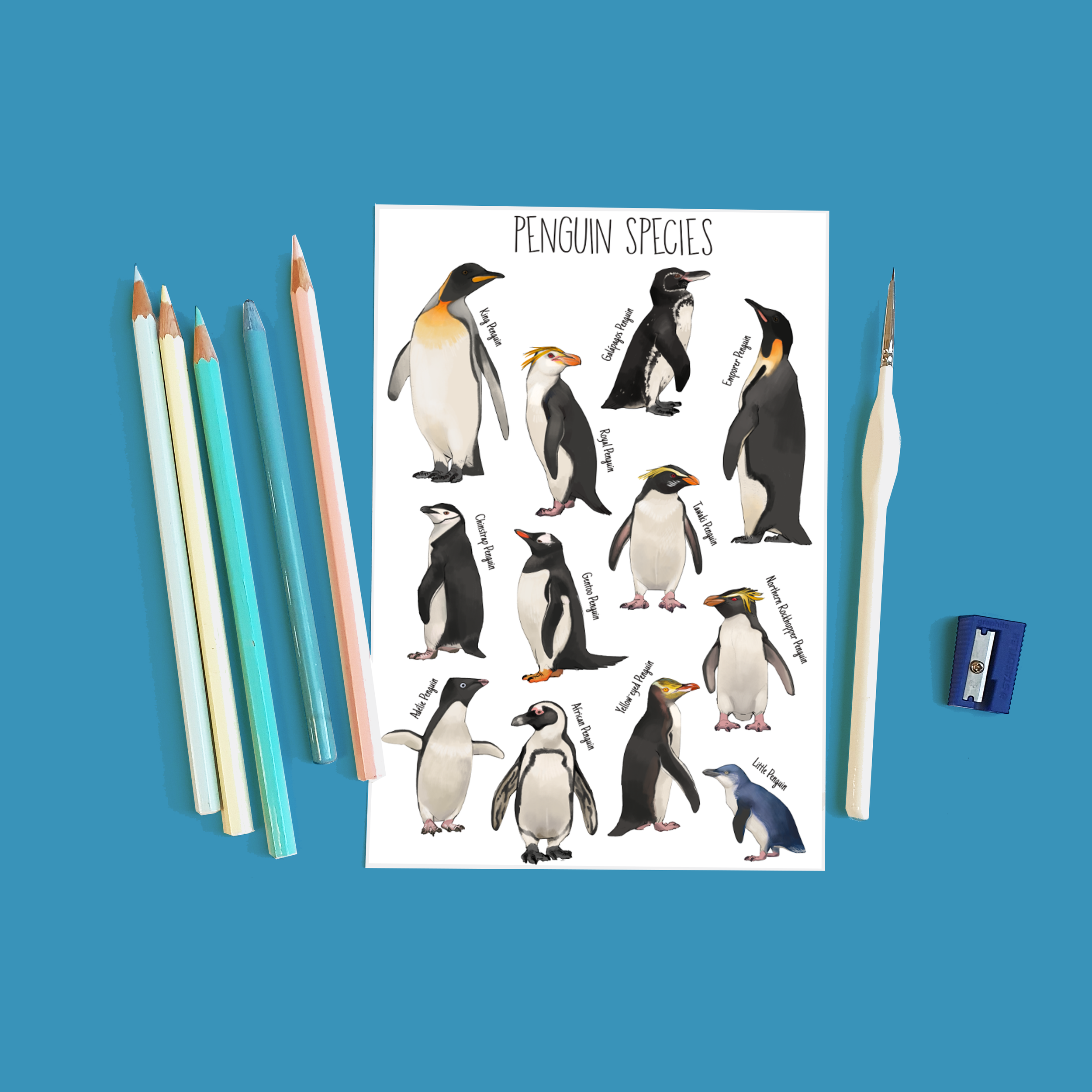 Carrion Crow Science growth chart illustration — The art of CrowArtist