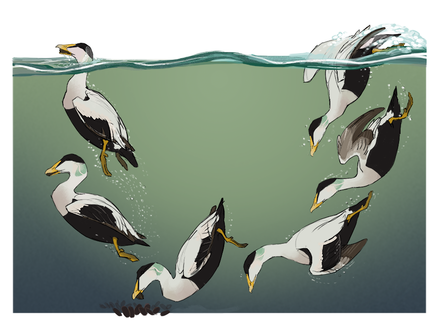 Old Artwork — The art of CrowArtist