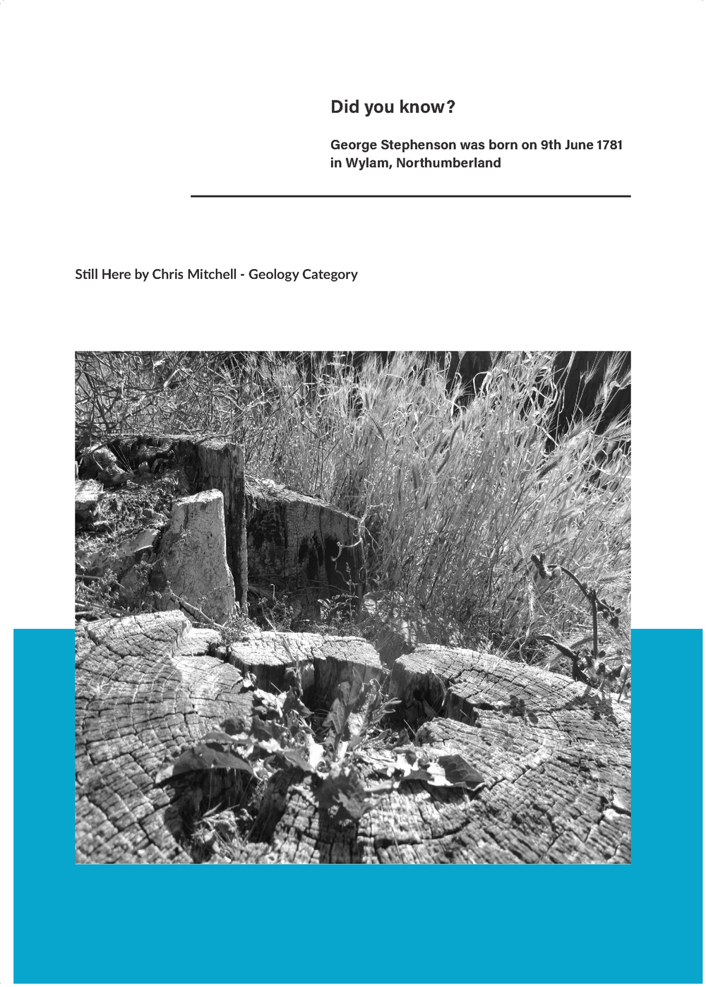 Stephenson Trail Project — The Cultural Spring