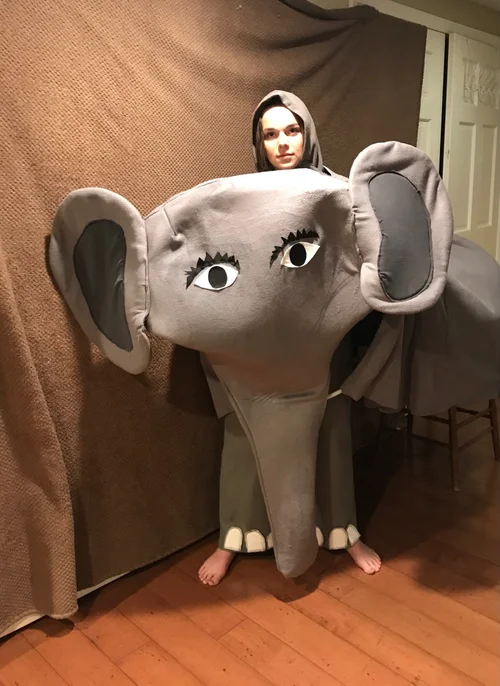 Lion King Theater Costumes — Bonnie Way Costumes