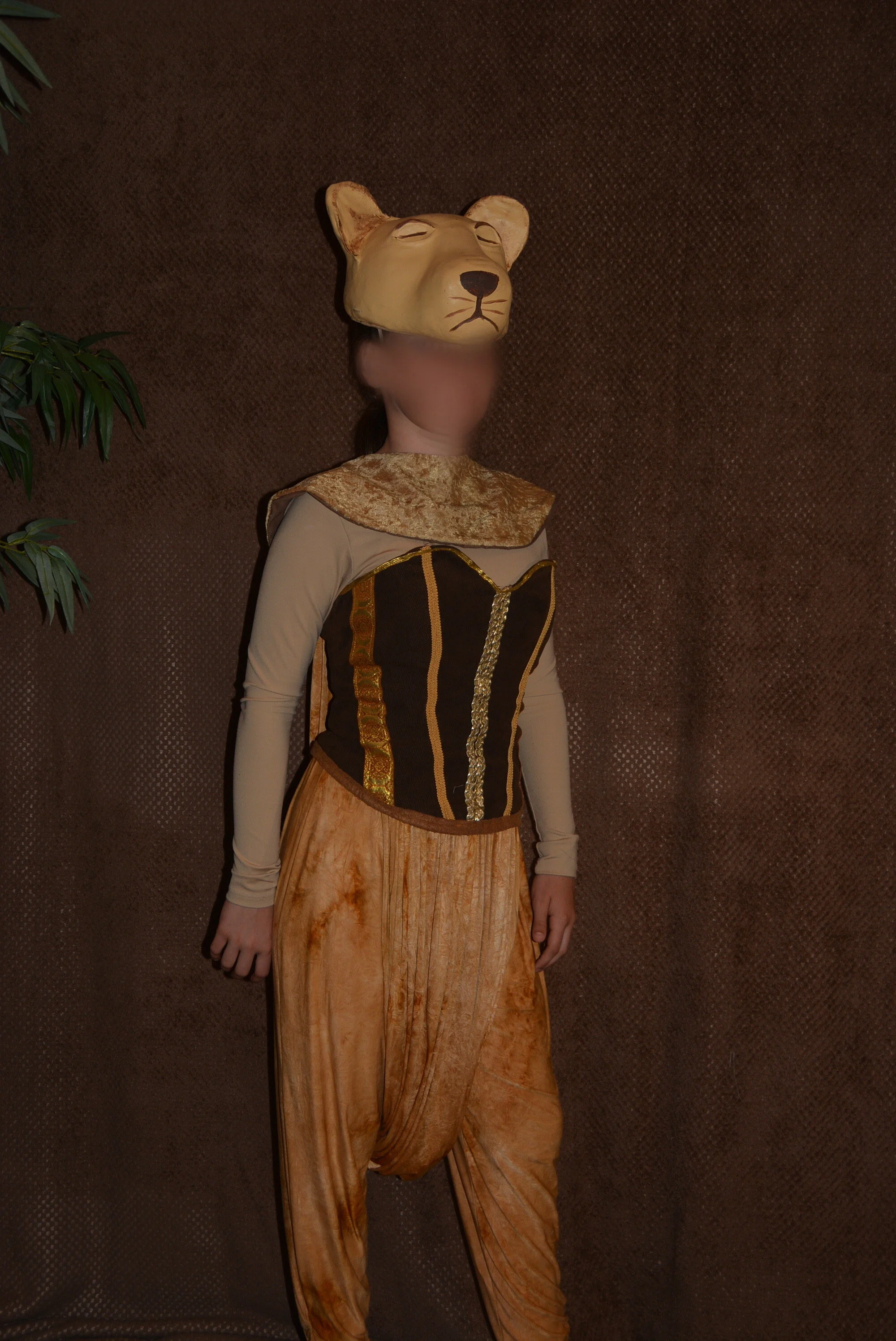 Lion King Theater Costumes — Bonnie Way Costumes