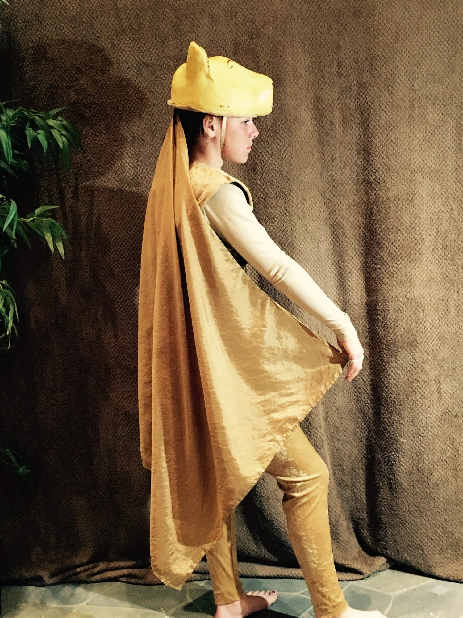 Lion King Theater Costumes — Bonnie Way Costumes