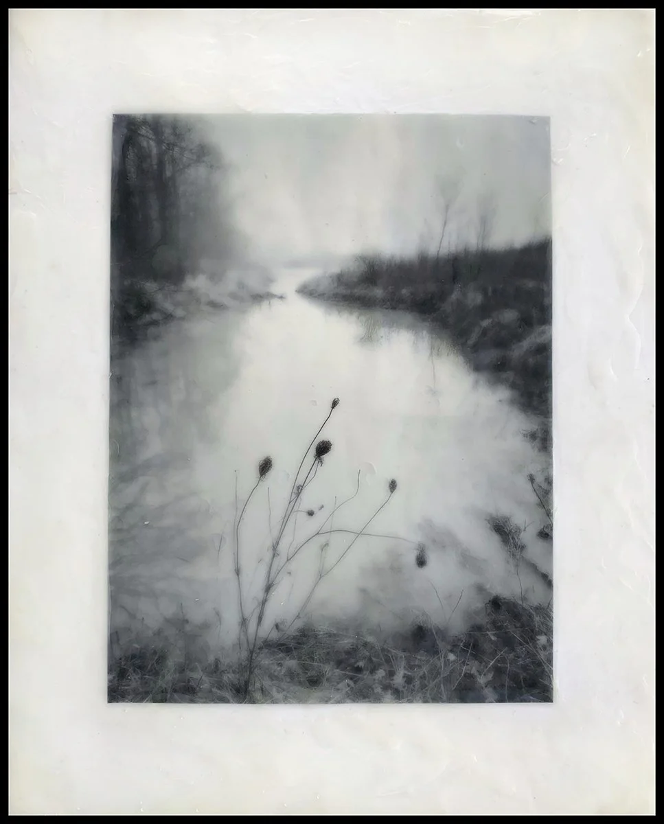 Encaustic — Vicki Reed