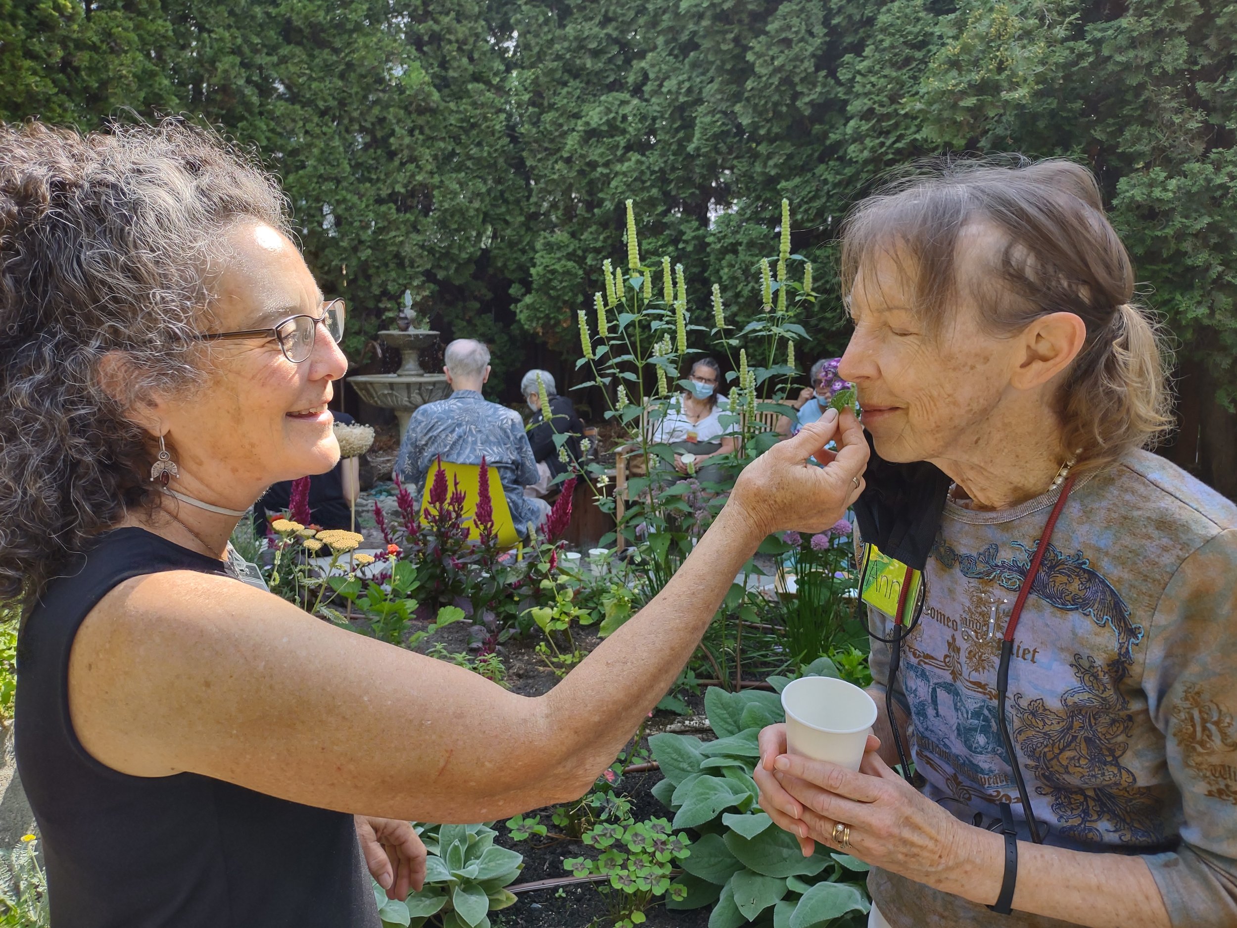 About 5 — Elderwise