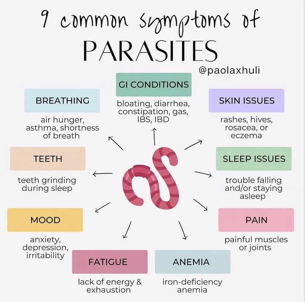 Why Everyone Should Parasite Cleanse - And Where To Start — The ...