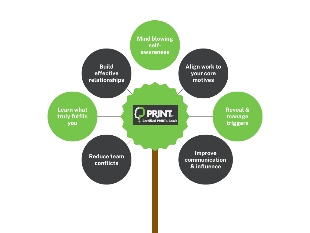 Optimise Talent Coaching / Career Coach