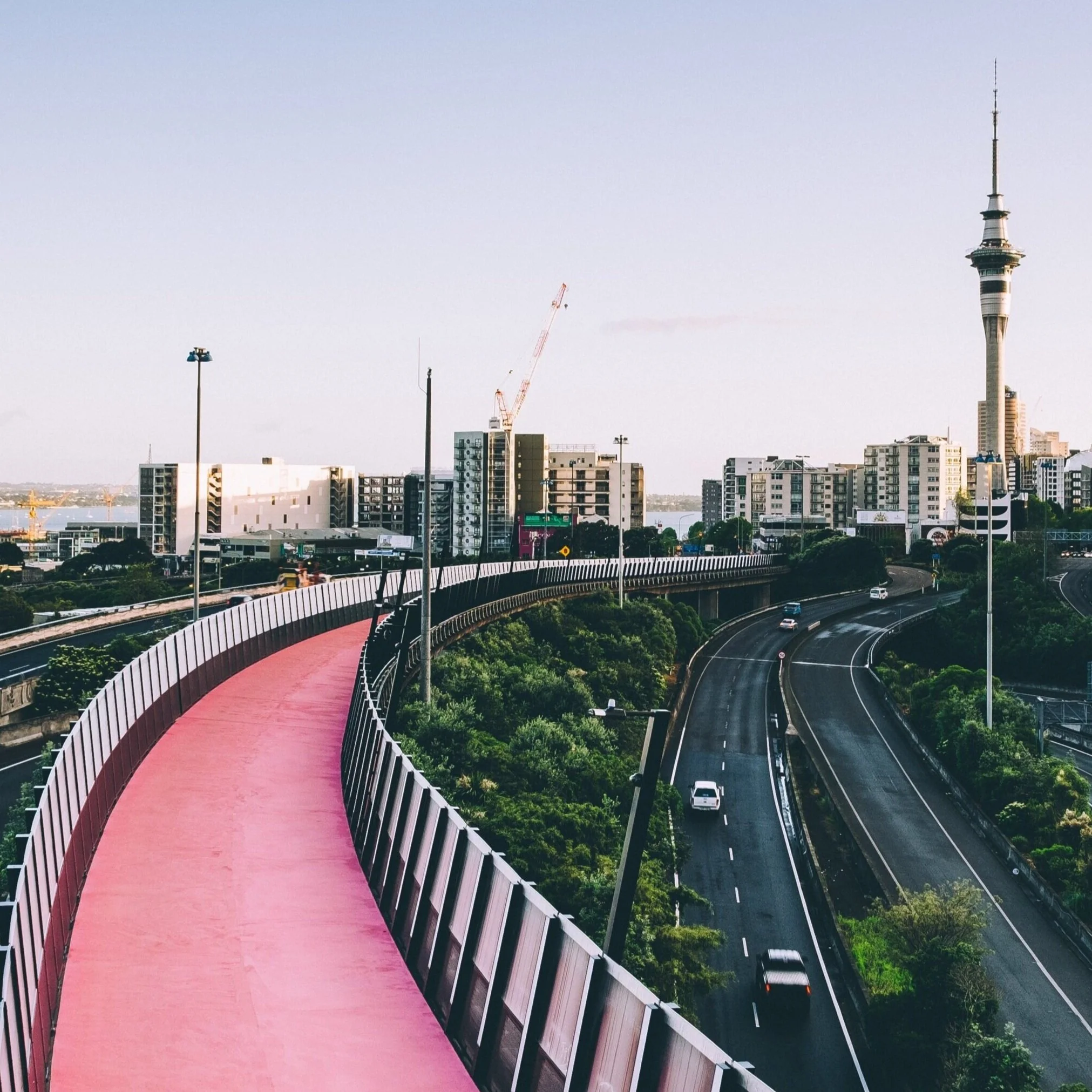 About us — Forest Harrison - Barristers and Solicitors