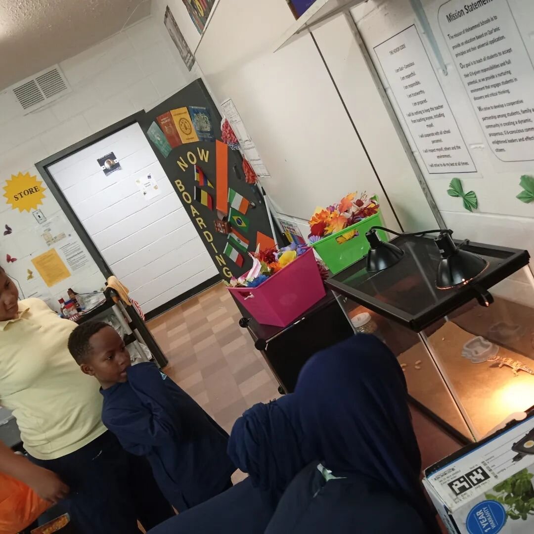 Mohammed Schools of Atlanta