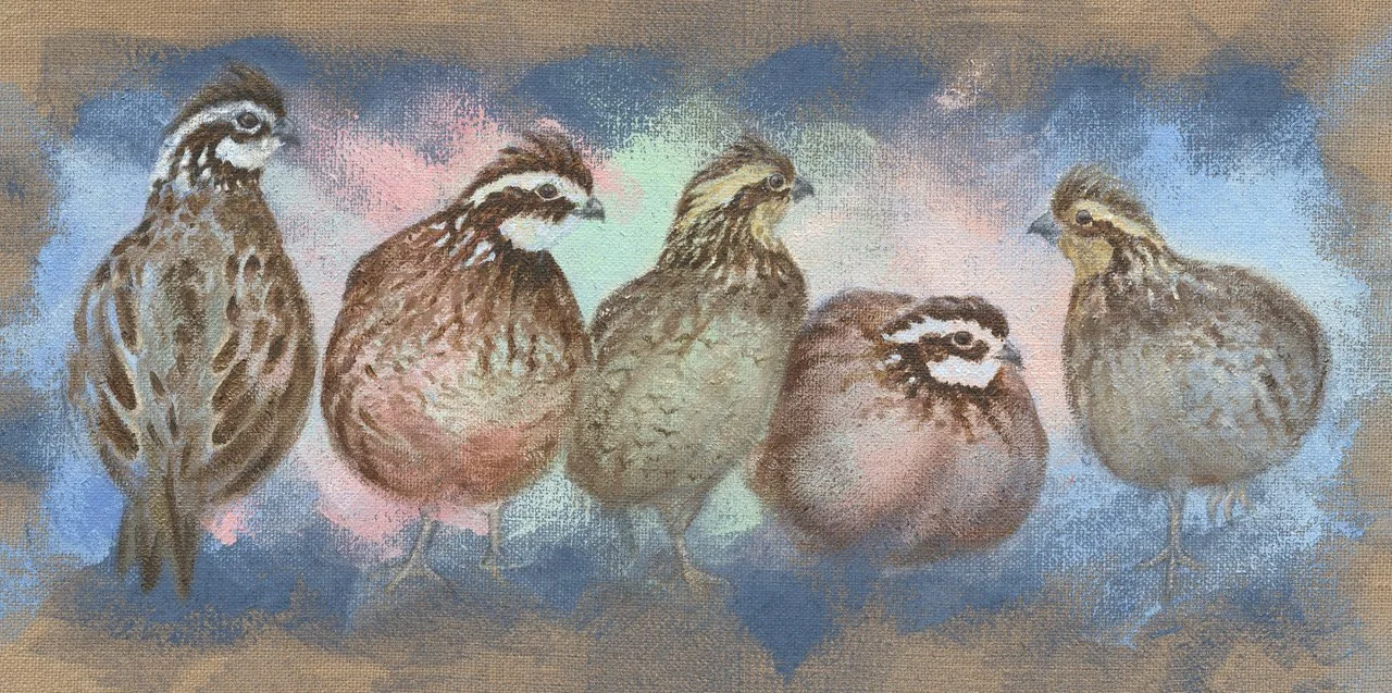 SC Quail Forever Receives Chapter of the Year Award — South Carolina ...