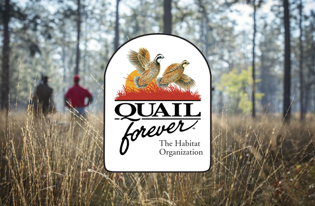 South Carolina Quail Forever