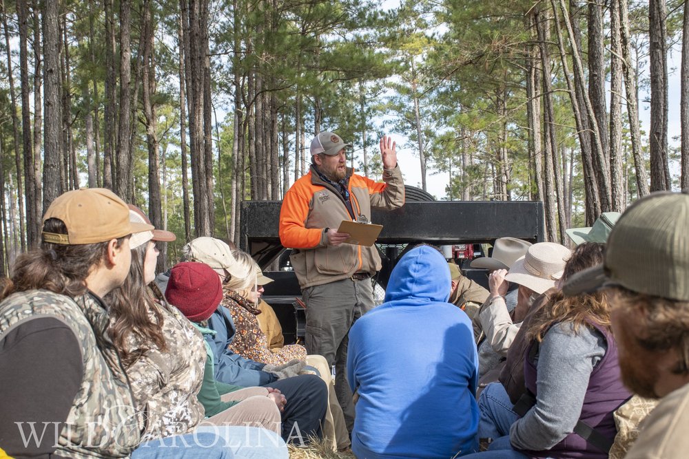 South Carolina Quail Forever