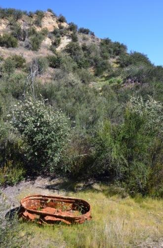 Rustic Oaks Ranch Photo Gallery — Rustic Oaks Ranch - A Beautiful ...