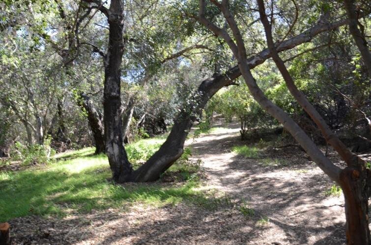 Rustic Oaks Ranch Photo Gallery — Rustic Oaks Ranch - A Beautiful ...