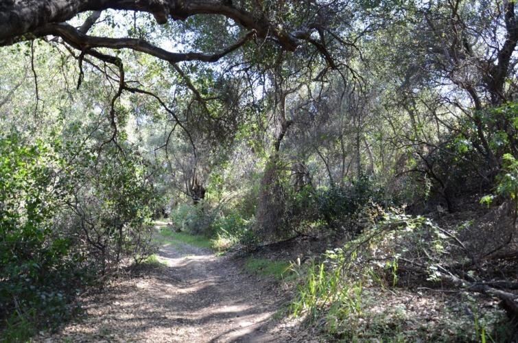 Rustic Oaks Ranch Photo Gallery — Rustic Oaks Ranch - A Beautiful ...